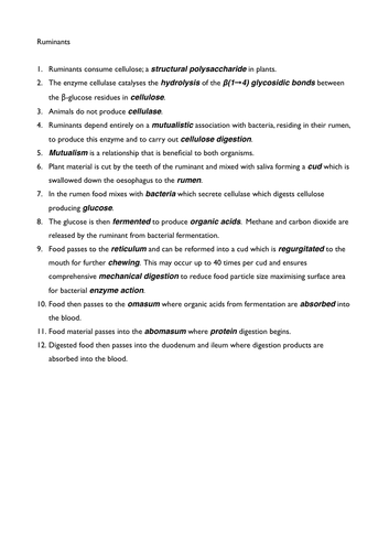 Ruminants | Teaching Resources