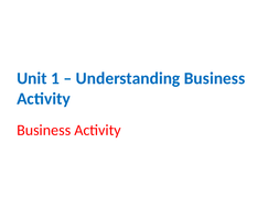 IGCSE Business Studies - Section 1 - Understanding Business Activity ...
