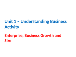 IGCSE Business Studies - Section 1 - Understanding Business Activity ...