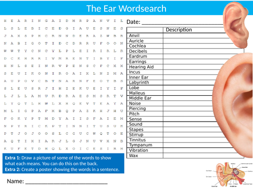 The Ear Wordsearch Sheet Starter Activity Keywords Cover Science ...