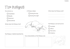 Platypus - Information Text | Teaching Resources