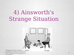 AQA A Level Paper 1 – Attachment – Mary Ainsworth- Strange Situation ...