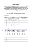 Transcription and Translation - GCSE | Teaching Resources