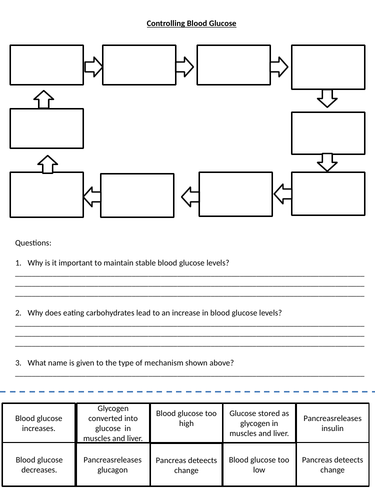 GCSE Biology Controlling Blood Glucose Levels | Teaching Resources