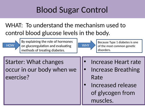 GCSE Biology Controlling Blood Glucose Levels | Teaching Resources
