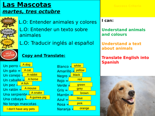 Year 7 Spanish - Whole Lesson - Viva 1 - p.16+17 - Pets and Colours ...
