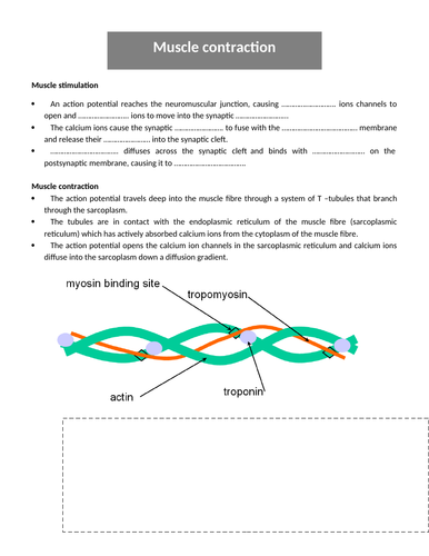 Response to Stimuli, Nerves and Muscles - A complete set of resources ...