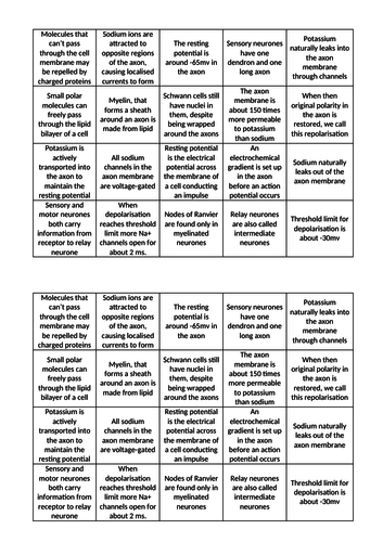 Response to Stimuli, Nerves and Muscles - A complete set of resources ...