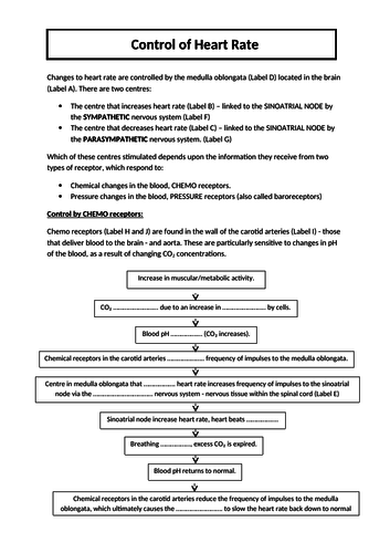 Response to Stimuli, Nerves and Muscles - A complete set of resources ...
