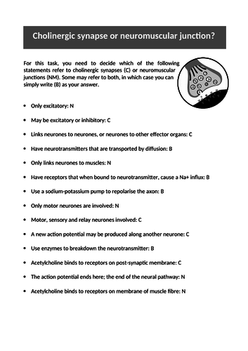 Response to Stimuli, Nerves and Muscles - A complete set of resources ...