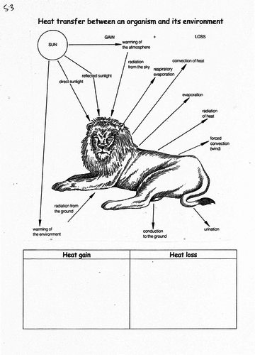 Response to Stimuli, Nerves and Muscles - A complete set of resources ...