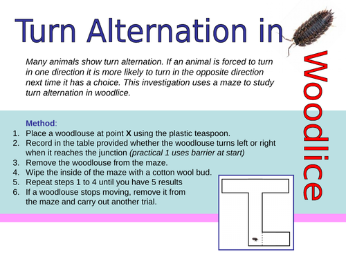 Response to Stimuli, Nerves and Muscles - A complete set of resources ...