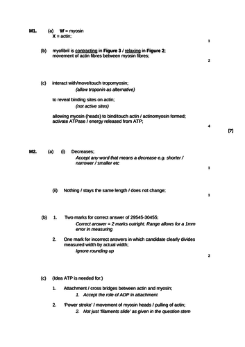 Response to Stimuli, Nerves and Muscles - A complete set of resources ...