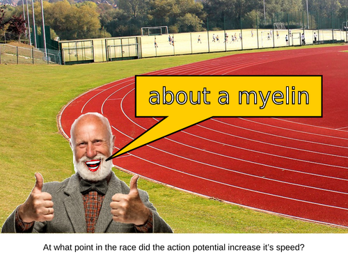 Response to Stimuli, Nerves and Muscles - A complete set of resources ...