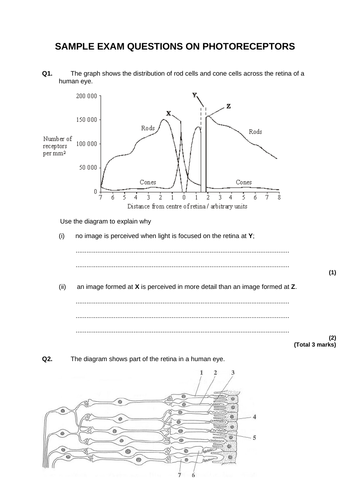 Response to Stimuli, Nerves and Muscles - A complete set of resources ...