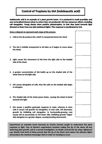 Response to Stimuli, Nerves and Muscles - A complete set of resources ...