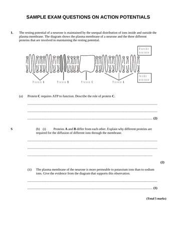 Response to Stimuli, Nerves and Muscles - A complete set of resources ...