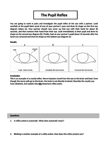 Response to Stimuli, Nerves and Muscles - A complete set of resources ...