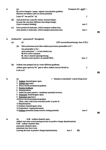 Response to Stimuli, Nerves and Muscles - A complete set of resources ...