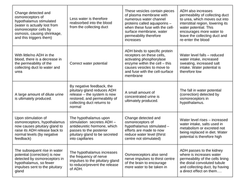 Response to Stimuli, Nerves and Muscles - A complete set of resources ...