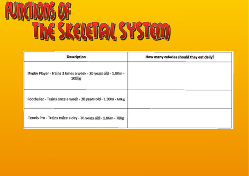 GCSE PE - Functions of the skeletal system | Teaching Resources