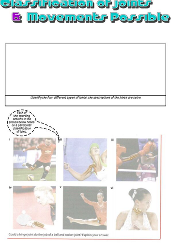 GCSE PE - Classification of joints & Movements Possible Booklet ...
