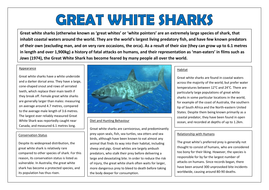 Non-Chronological Reports! | Teaching Resources