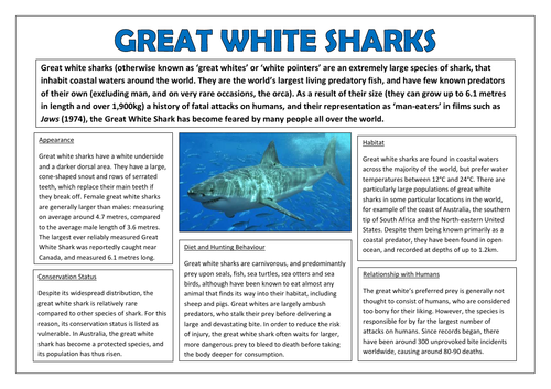 Non-Chronological Reports! | Teaching Resources