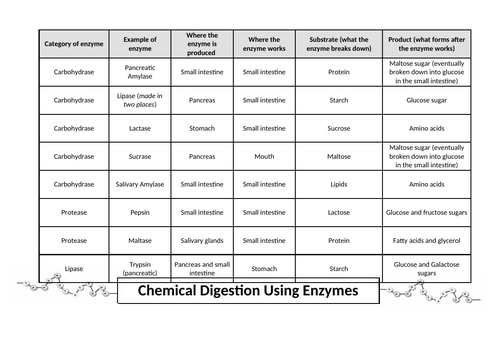 Biological Molecules Igcse Biology Teaching Resources - vrogue.co Biological Molecules Igcse Biology Teaching Resources - vrogue.co