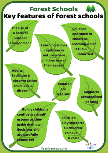 Forest Schools activities | Teaching Resources