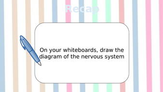 AQA GCSE PSYCHOLOGY (9-1) - Neuropsychology - Neurons | Teaching Resources