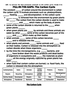 Nutrient Cycles - Water, Carbon and Nitrogen | Teaching Resources
