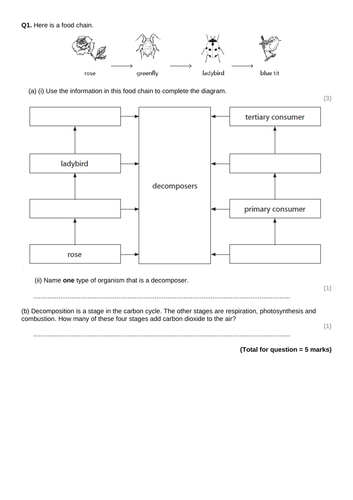 Nutrient Cycles - Water, Carbon and Nitrogen | Teaching Resources