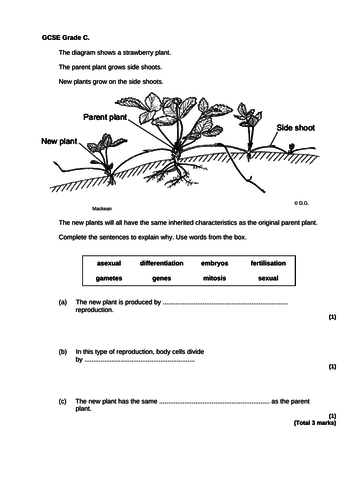 Plant Reproduction - Sexual and Asexual | Teaching Resources