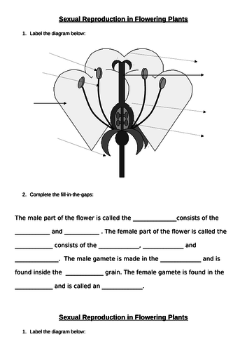 Plant Reproduction - Sexual and Asexual | Teaching Resources