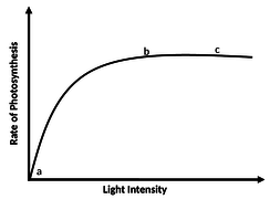 AQA GCSE: B8 Photosynthesis: L2 Limiting Factors | Teaching Resources