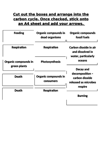 The Carbon Cycle (1) - AQA A Level Geography | Teaching Resources