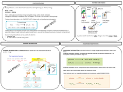 9-1 Biology Revision/Intervention Work | Teaching Resources
