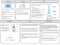 9-1 Biology Revision/Intervention Work | Teaching Resources