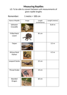 Maths Activity: Converting Measurements of Reptile Lengths (cm and m ...