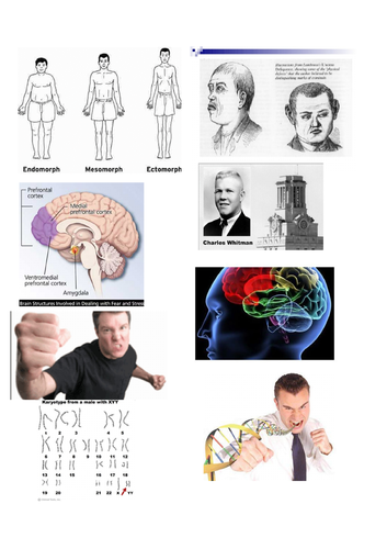 What are the biological and psychological explanations for Crime ...