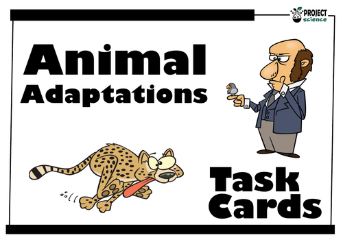 Animal Adaptations Task Cards | Teaching Resources