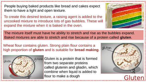Gluten | Teaching Resources