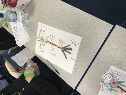 Structure of a neuron fun activity and the passage of a nerve - Nervous ...