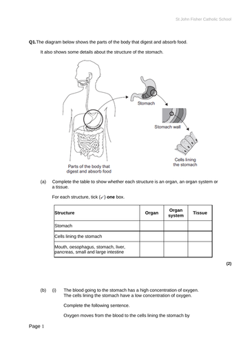 KS4 B3.1 Cells, Tissues and Organs | Teaching Resources