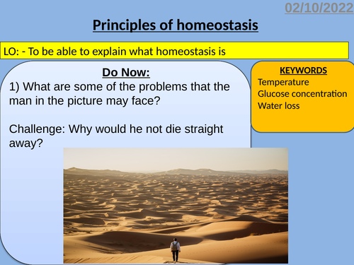 B10.1 Principles of homeostasis (AQA) | Teaching Resources B10.1 Principles of homeostasis (AQA) | Teaching Resources