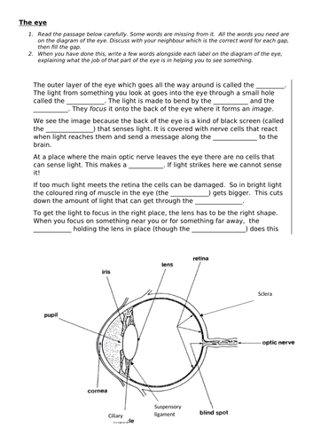 B10.5 The eye (AQA) | Teaching Resources