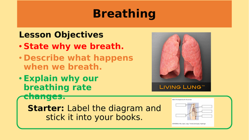 Breathing | Teaching Resources