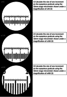 Eyepiece Graticule/Stage Micrometer calibration calculations | Teaching ...