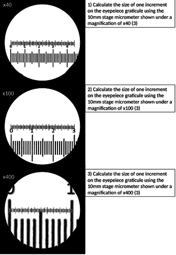 Eyepiece Graticule/Stage Micrometer calibration calculations | Teaching ...